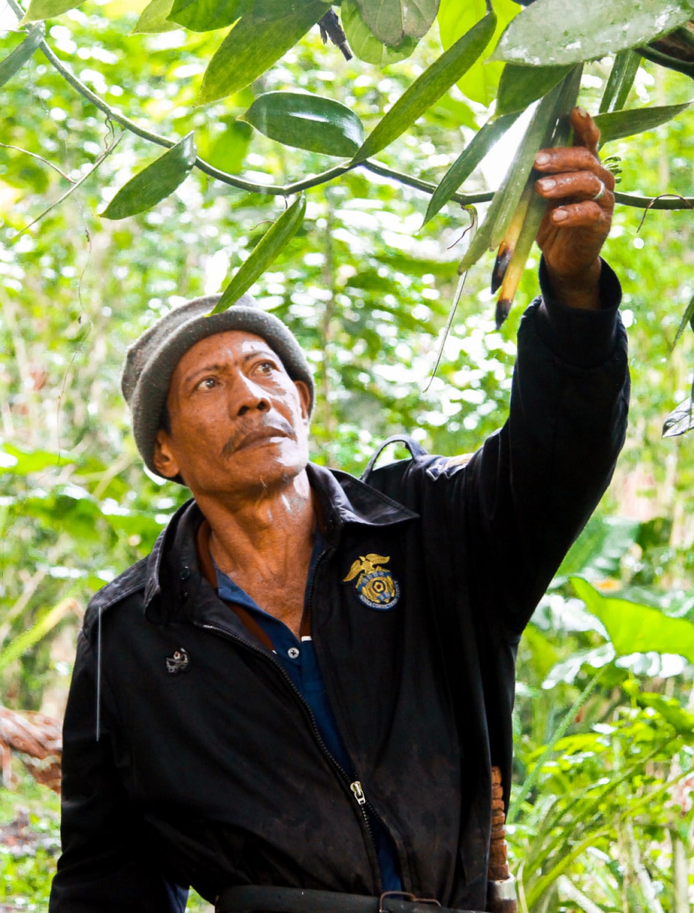 Sustainability - Sustainable and Inclusive Vanilla