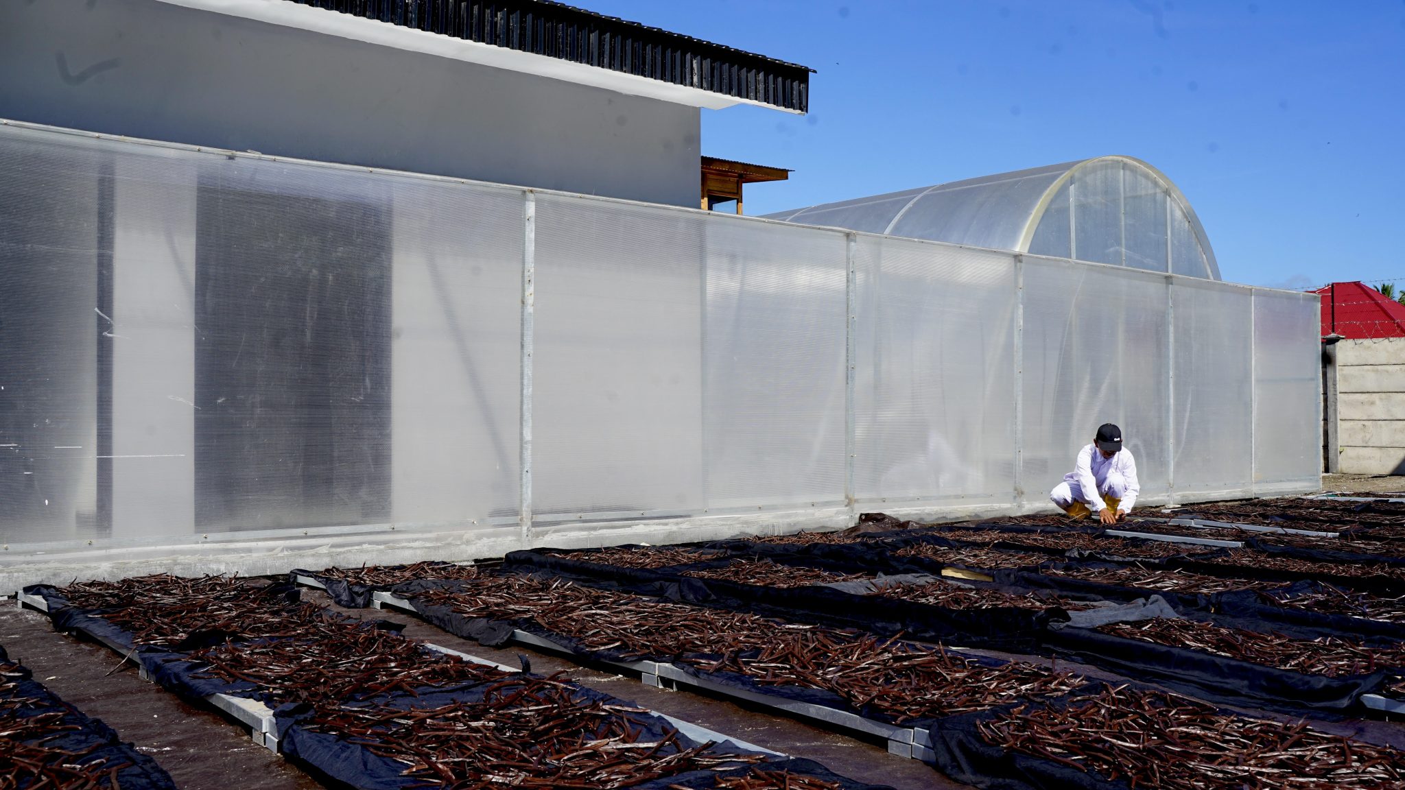 Home - Sustainable and Inclusive Vanilla